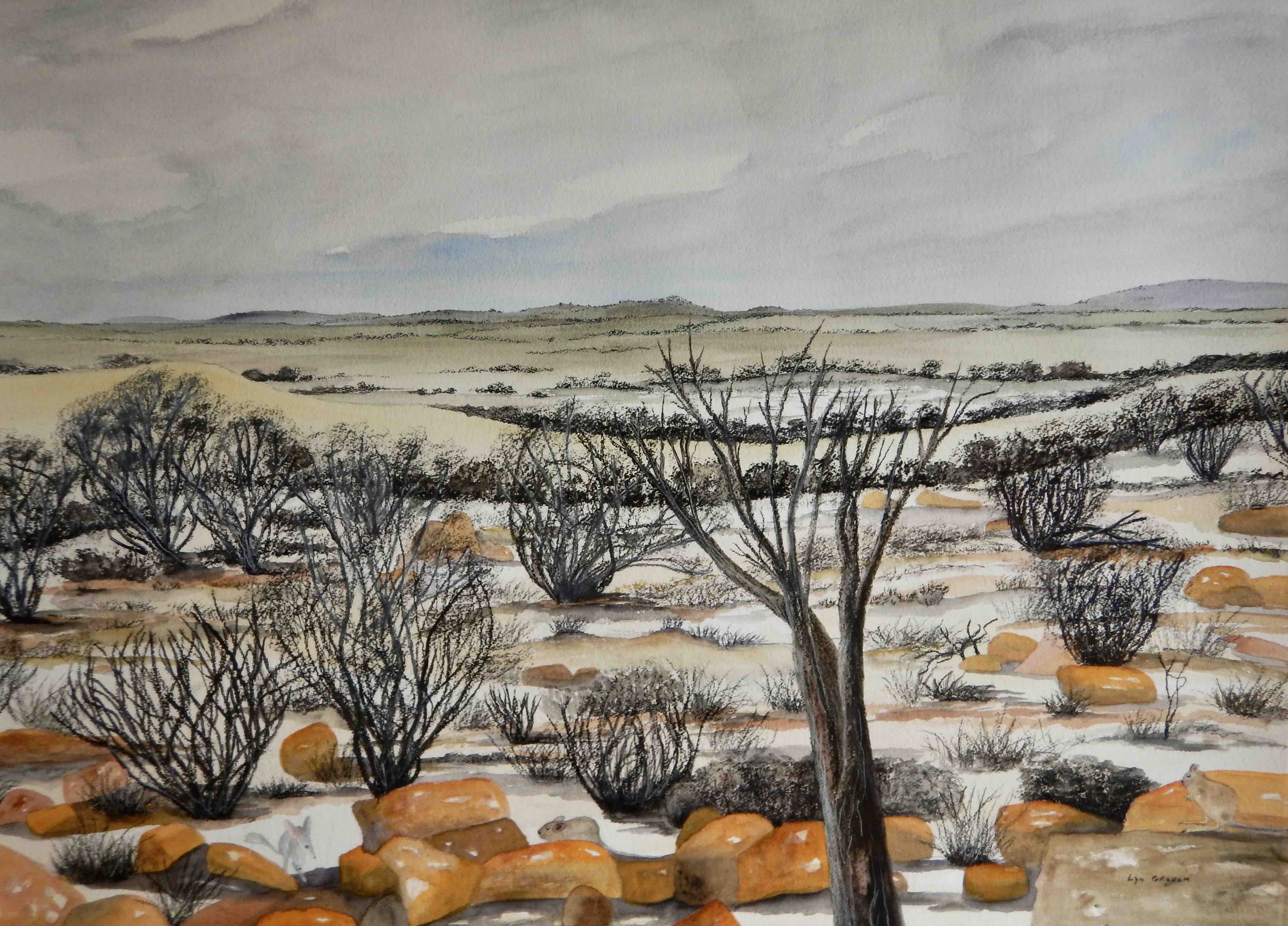 Once Were Burrowers – Lyn Graham and Paul Rees artists